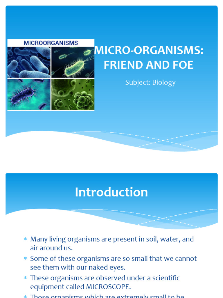 Micro-Organisms Class 8th | PDF | Microorganism | Bacteria