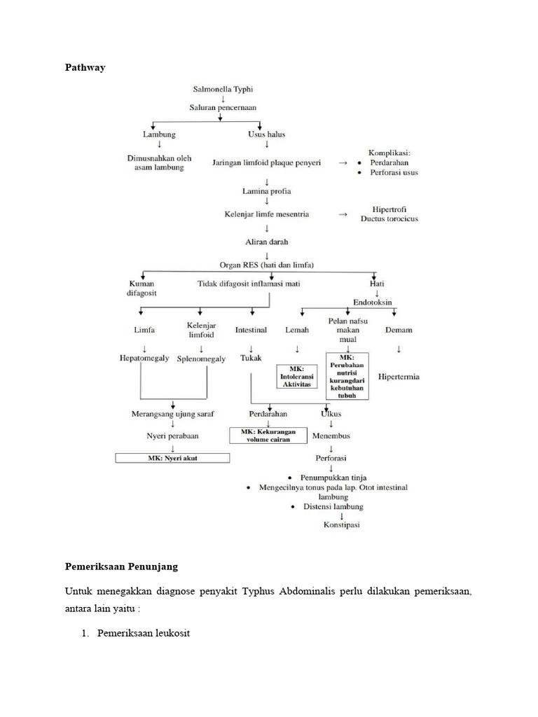 Pemeriksaan Typhoid Abdominalis | PDF