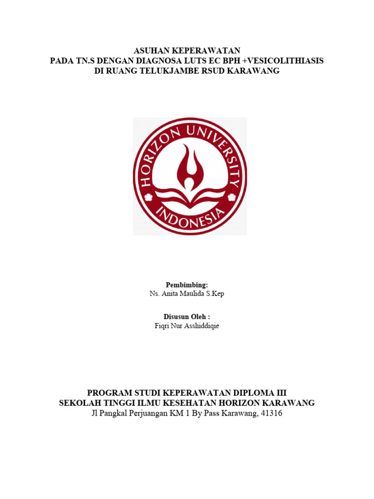 Asuhan Keperawatan LUTS BPH Vesicolithiasis | PDF
