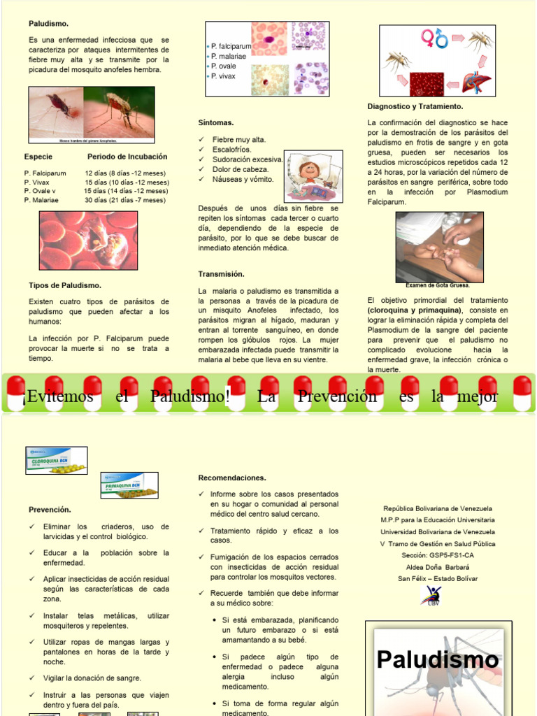 Triptico Paludismo | Descargar gratis PDF | Malaria | Ciencias de la Salud