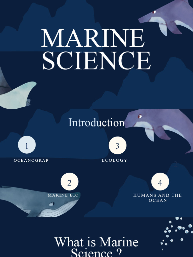 Blue Cute Fun Science Aquatic Animals Presentation | PDF | Oceanography ...