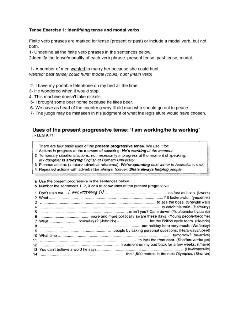 Verb Tense & Modality Exercise | PDF