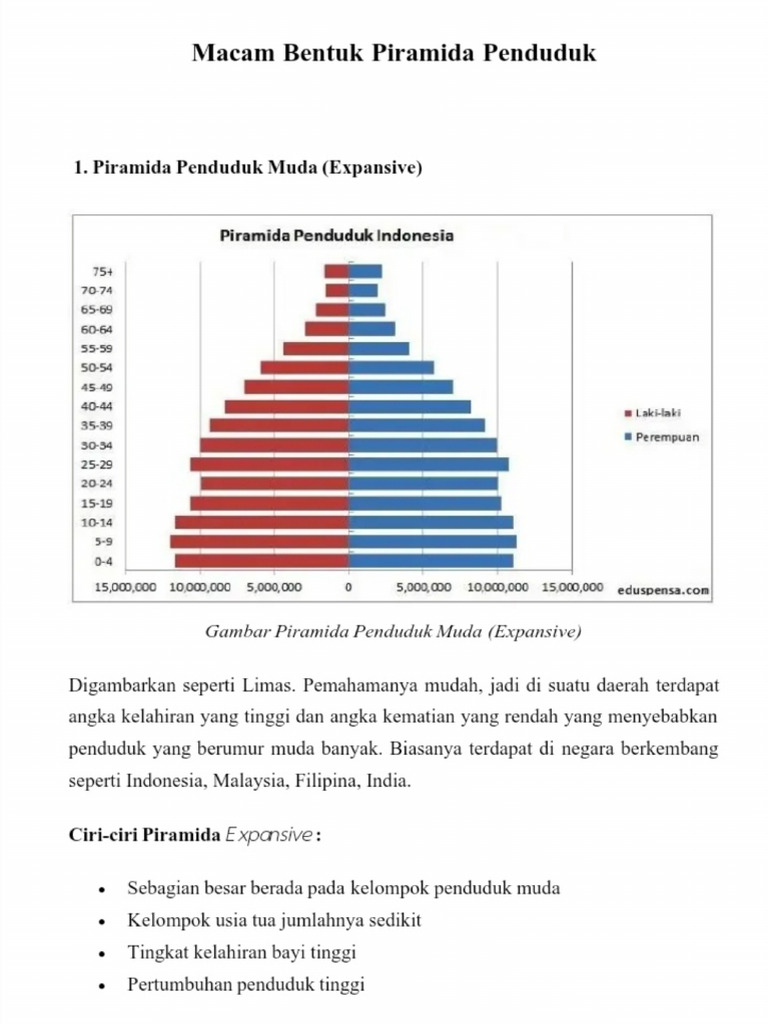 Piramida Penduduk - Kelas 8SMP | PDF
