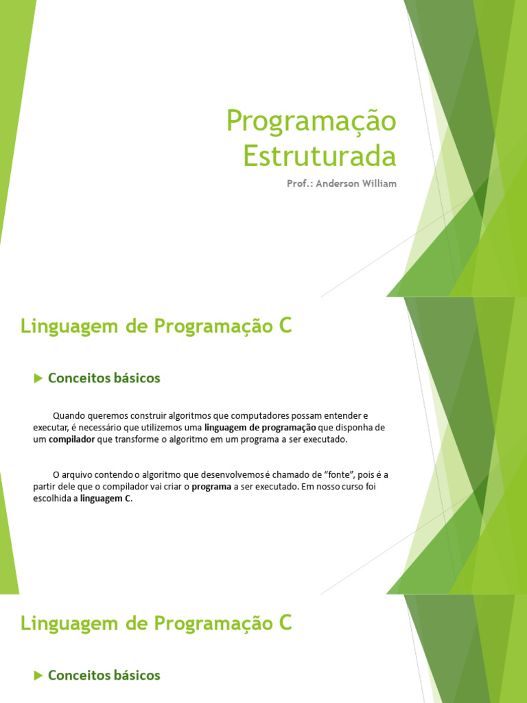 Programação Estruturada - Linguagem C - Introdução | PDF | C (linguagem ...