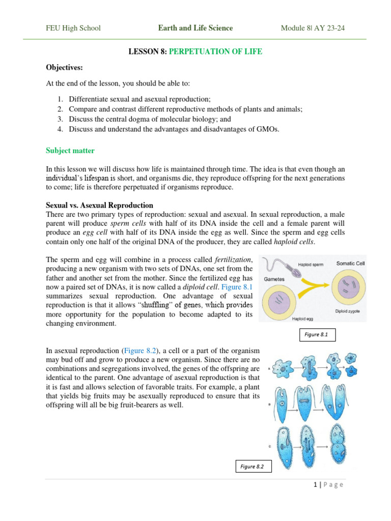 Els FT Lesson8 Perpetuation-Of-life | PDF | Rna | Dna