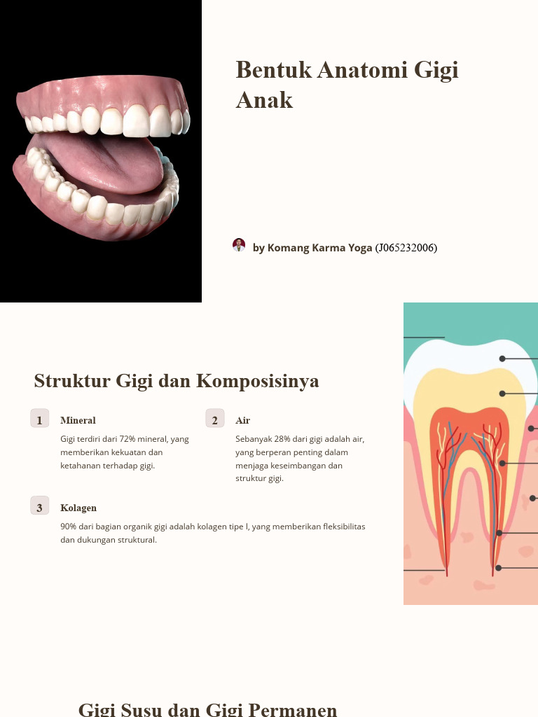 Anatomi & Struktur Gigi Anak | PDF