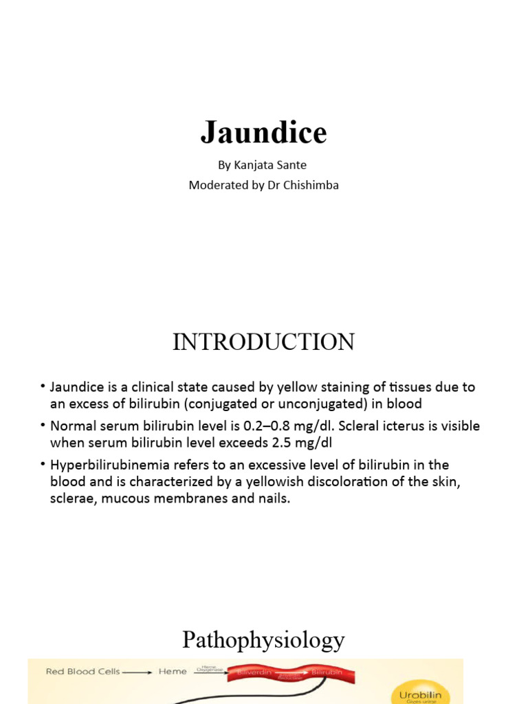 Jaundice | Download Free PDF | Diseases And Disorders | Medical Specialties