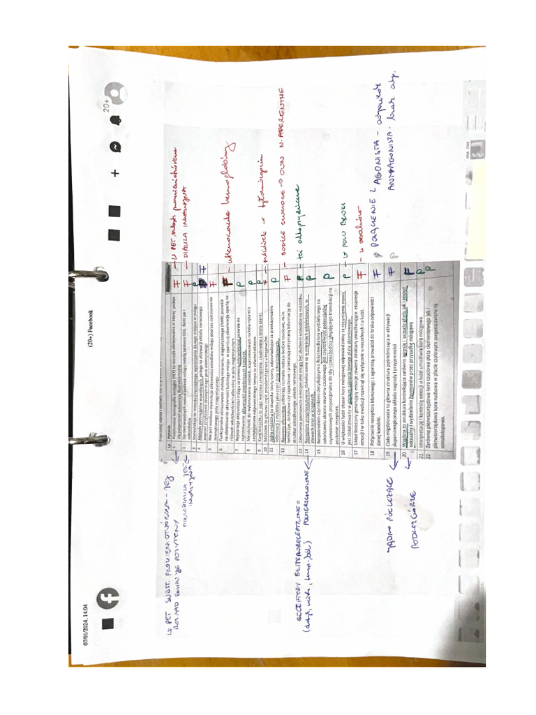 Test BPZ | PDF