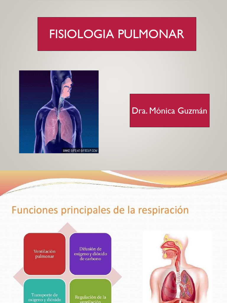 Ventilacion-Pulmonar Capitulo 38 Moni Parte 1-2 | PDF | Pulmón | Respiración