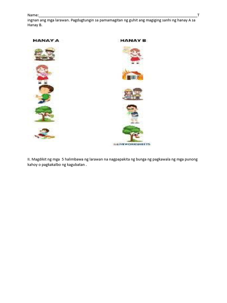 Sanhi at Bunga Worksheet | PDF