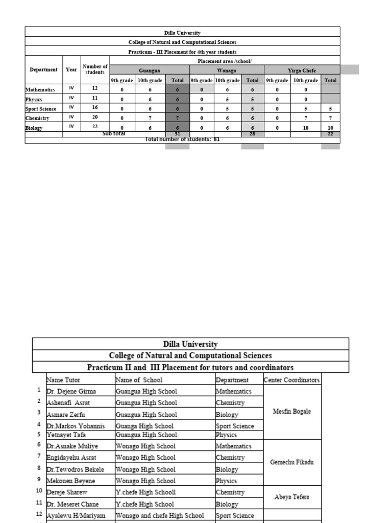 IV Practicum P | PDF