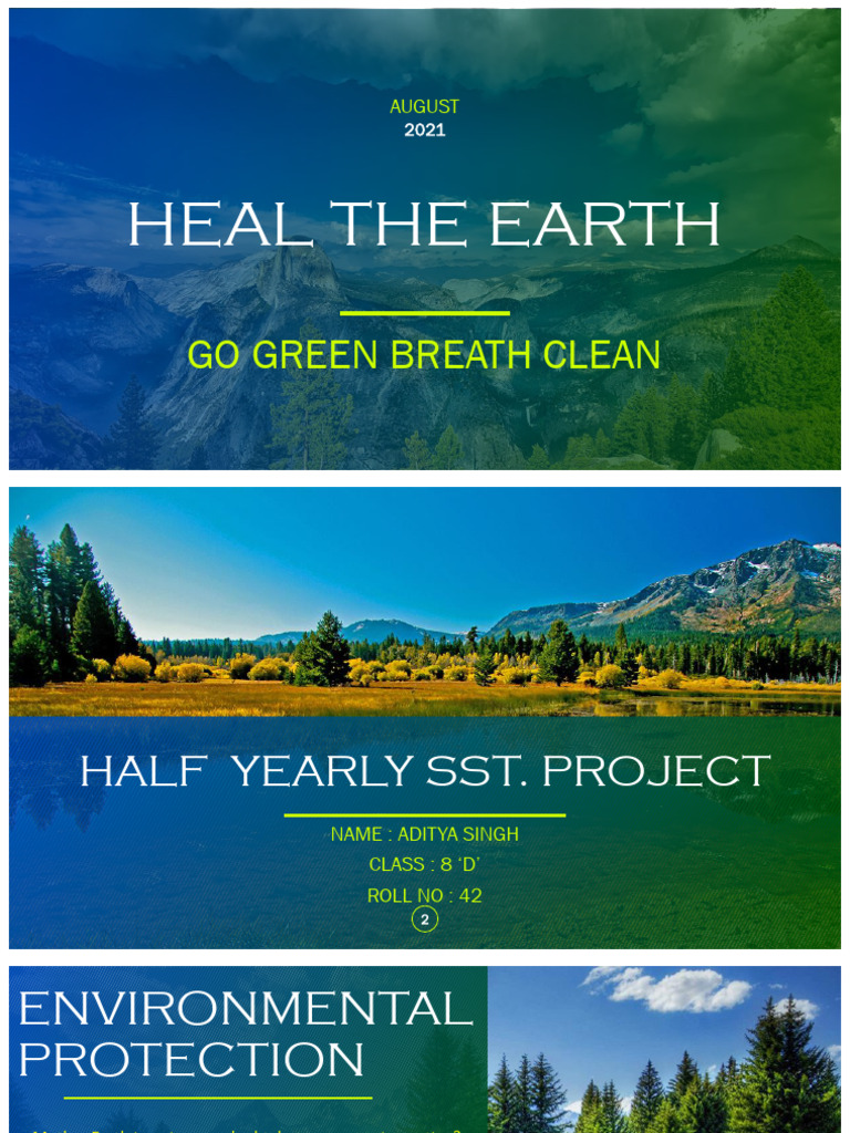 SST Project | PDF | Sustainability | Environmental Protection