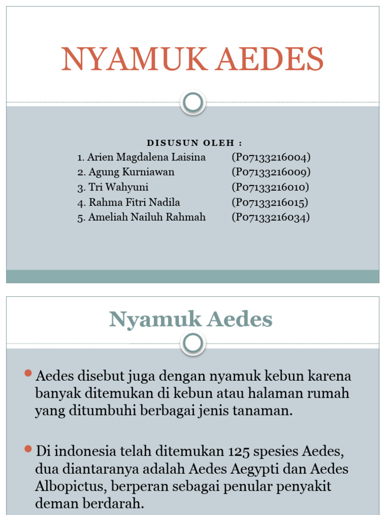 Nyamuk Aedes | PDF