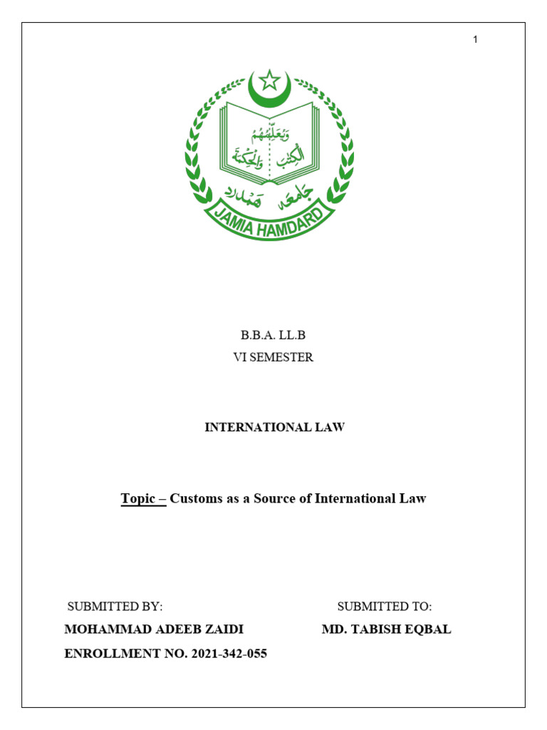 International Law Project | PDF | International Law | Justice