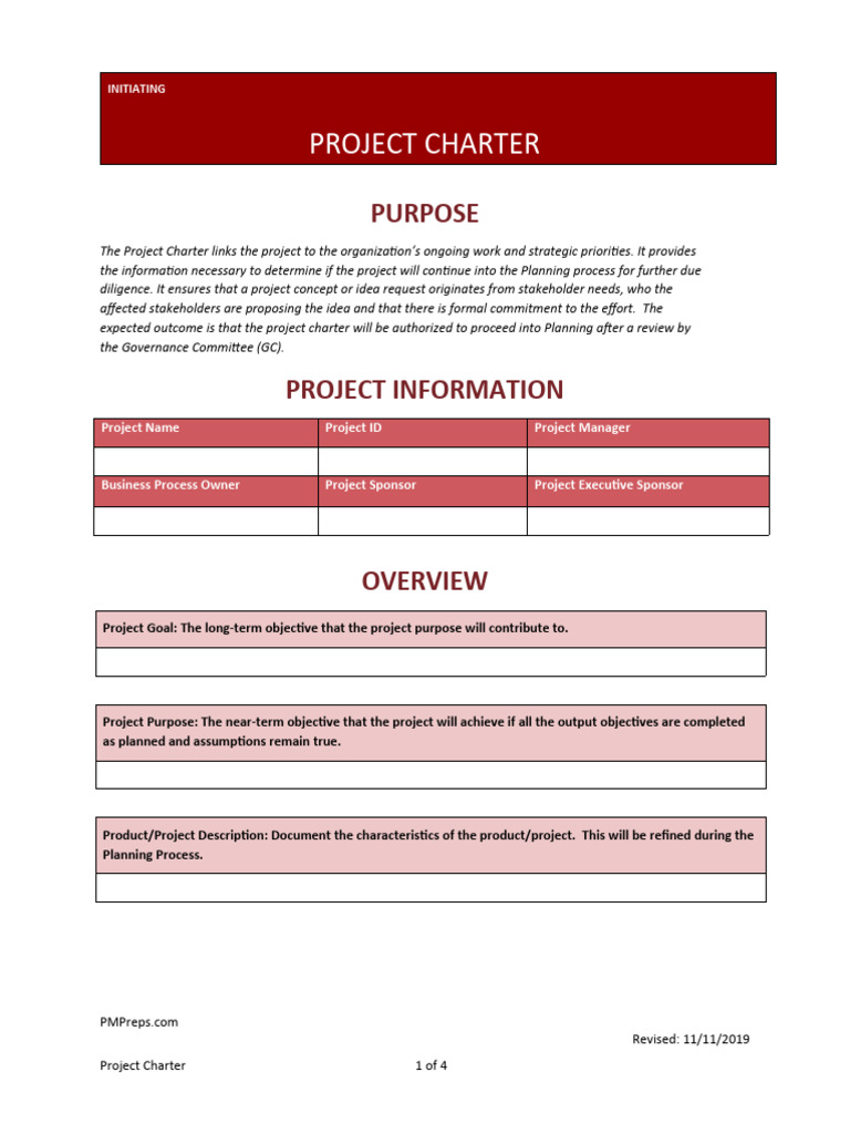 I 5+idea Project+Charter | PDF | Risk | Request For Proposal
