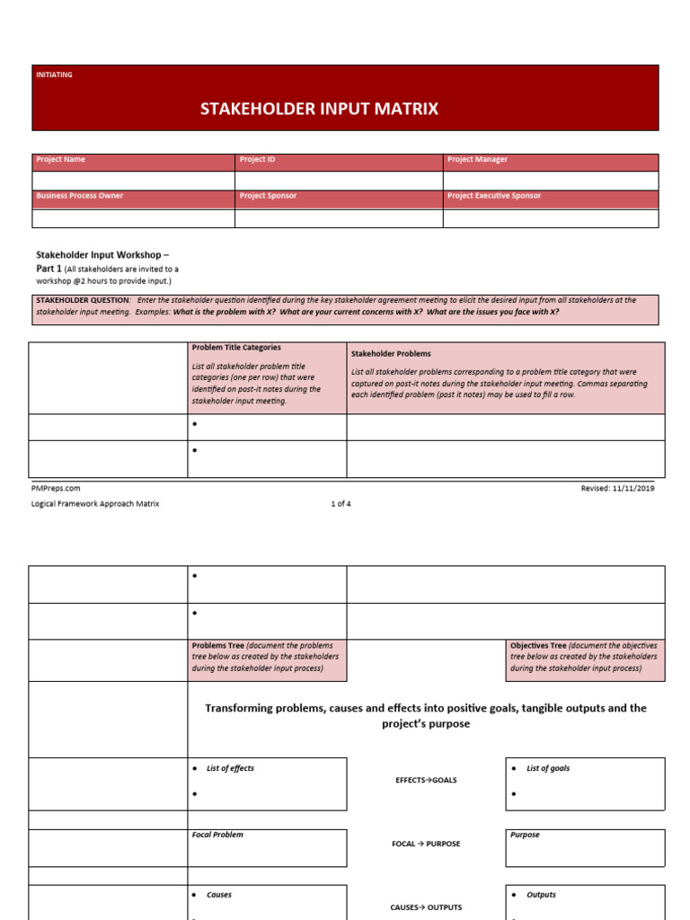 Stakeholder Input Workshop Matrix | PDF | Strategic Planning | Business