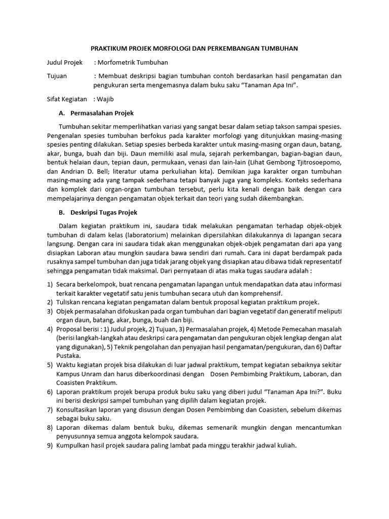Praktikum Projek Morfologi Dan Perkembangan Tumbuhan | PDF