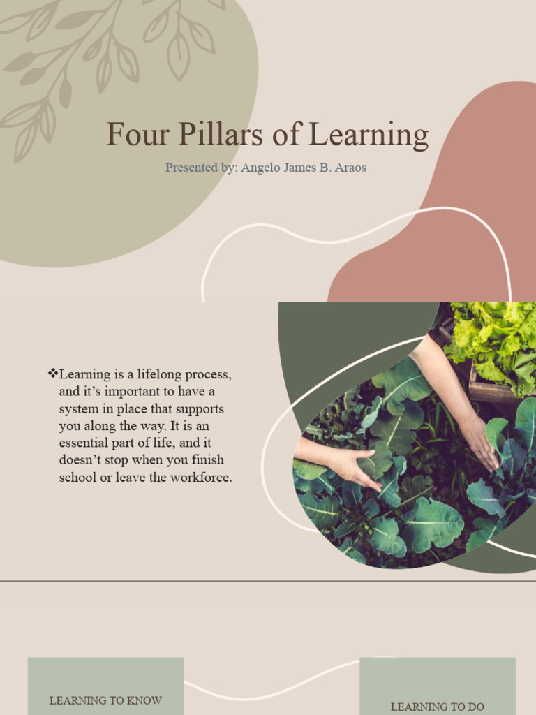 Jamjampogi - 4 Pillars of Learning | PDF | Learning | Knowledge