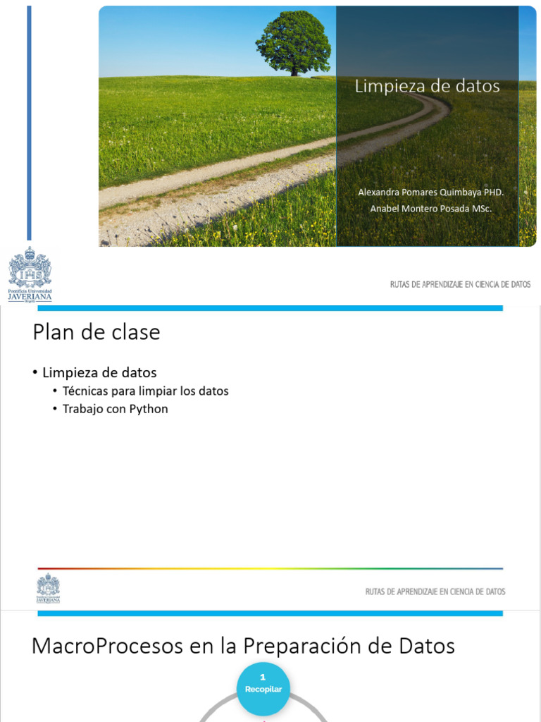 Guía de Limpieza de Datos en Python | PDF | Datos | Informática