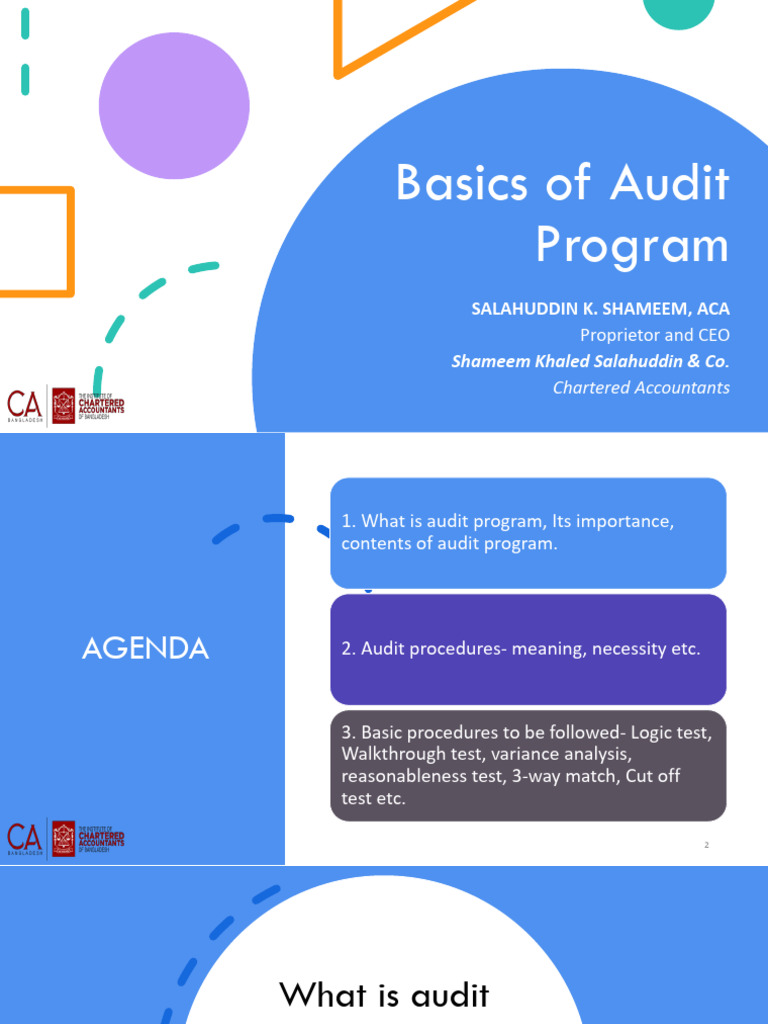 Audit Program Essentials | PDF | Audit | Financial Audit