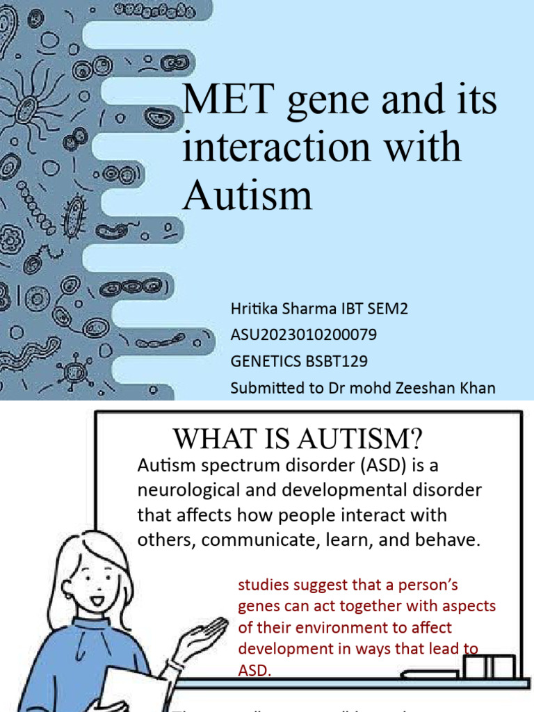 MET Gene and It-WPS Office | Download Free PDF | Autism Spectrum | Gene