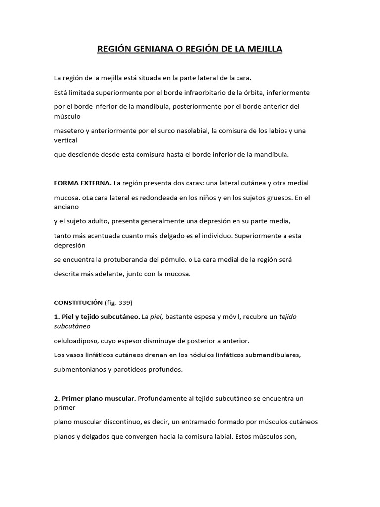 Región Geniana o Región de La Mejilla | PDF | Anatomía | Anatomía humana