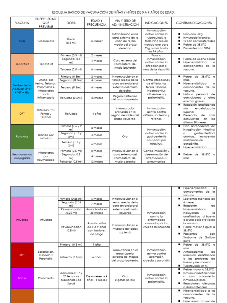 Esquema Basico de Vacunacion de Ninas y | Descargar gratis PDF | Vacunas | Influenza
