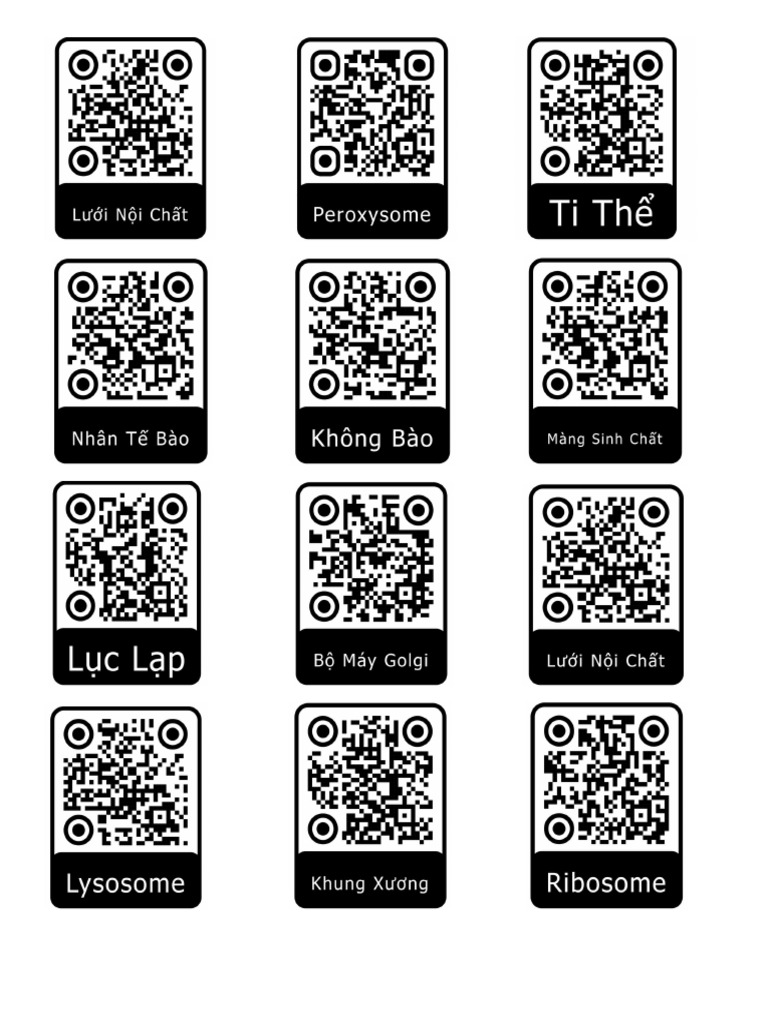 QR | PDF
