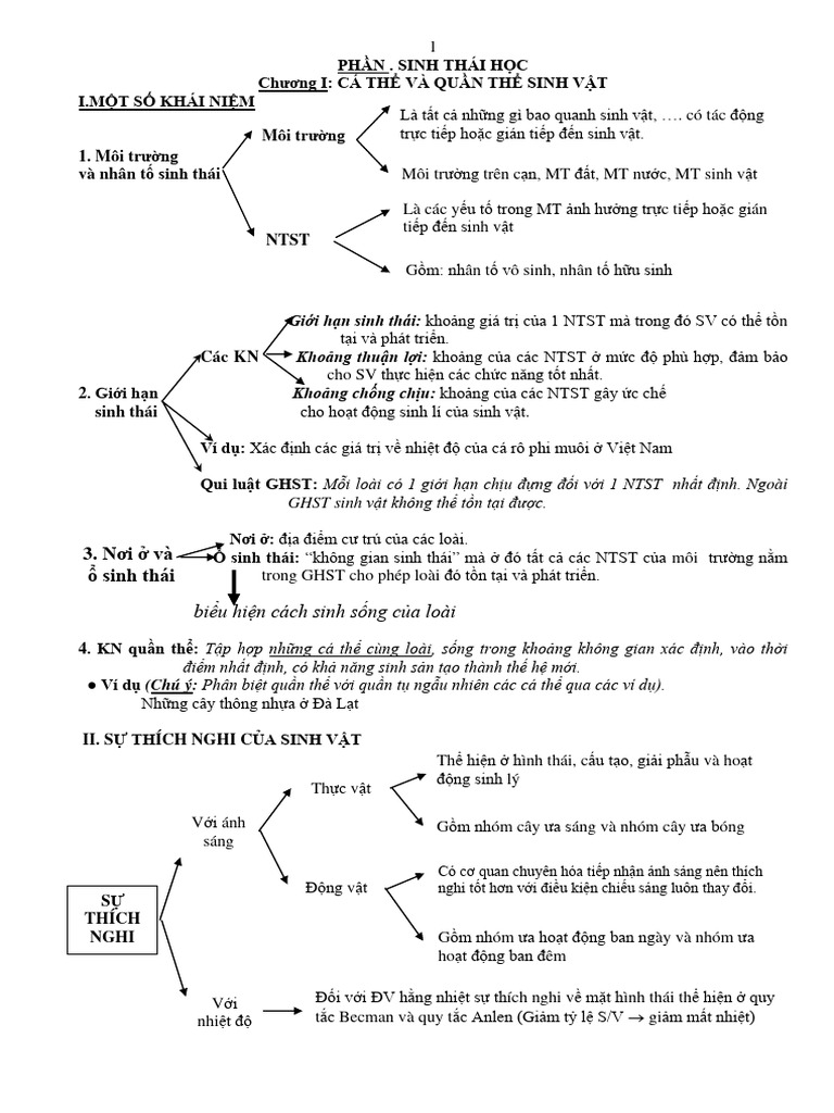 NỘI DUNG ÔN TẬP HKII - SINH THÁI | PDF