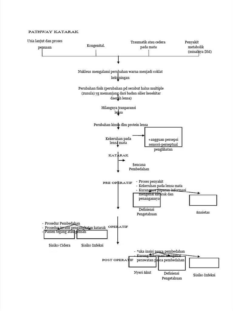 PDF Pathway Katarak Baru - Compress | PDF