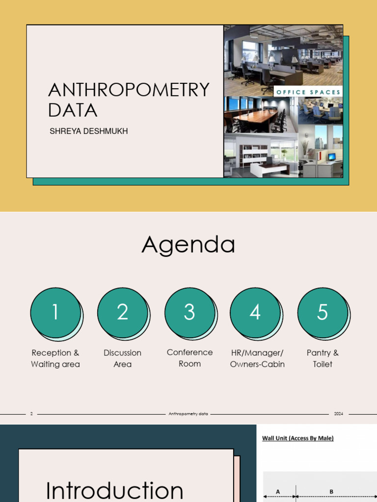 Commercial Anthropometry Overview 2024 | PDF