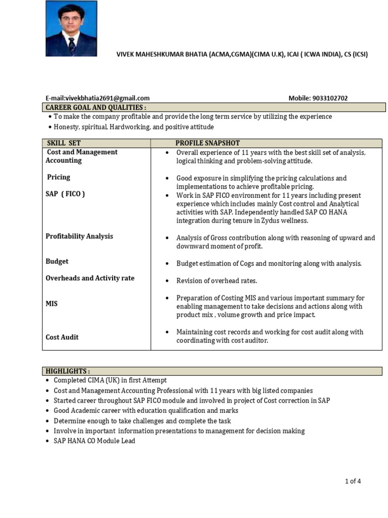 Resume Vivek | PDF | Internal Control | Gross Margin