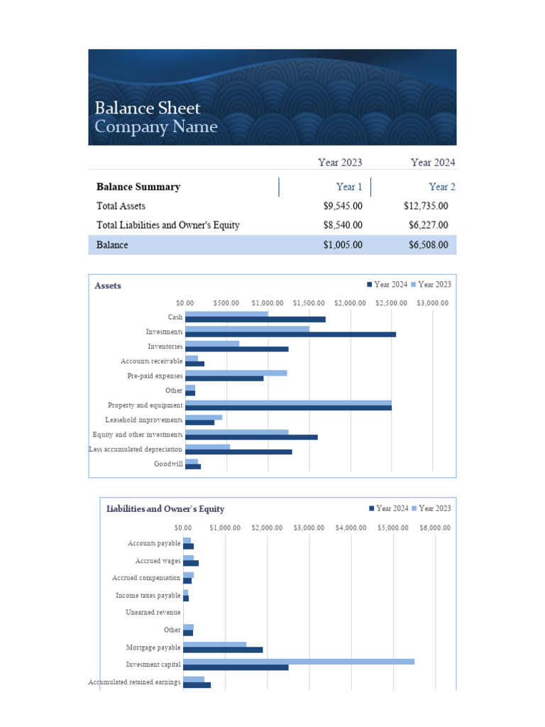 Blue Balance Sheet1 | PDF | Equity (Finance) | Economies