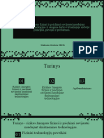 Saugaus Darbo Virtualioje Erdvėje Principai | PDF