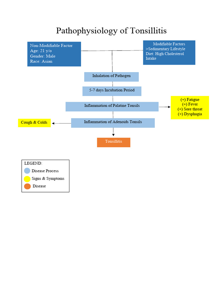 Pathophysiology of Tonsillitis | PDF