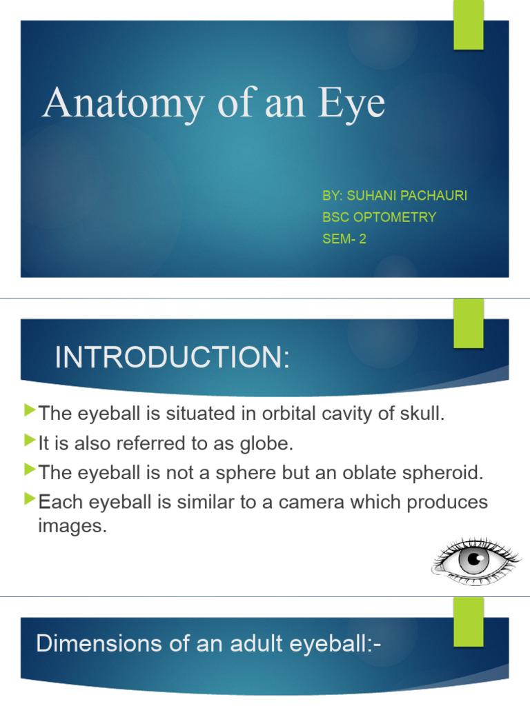 Anatomy of an Eye | PDF | Human Eye | Eye