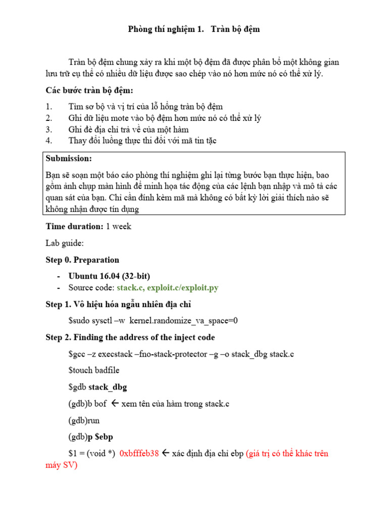Lab 1. Buffer Overflow-New | PDF