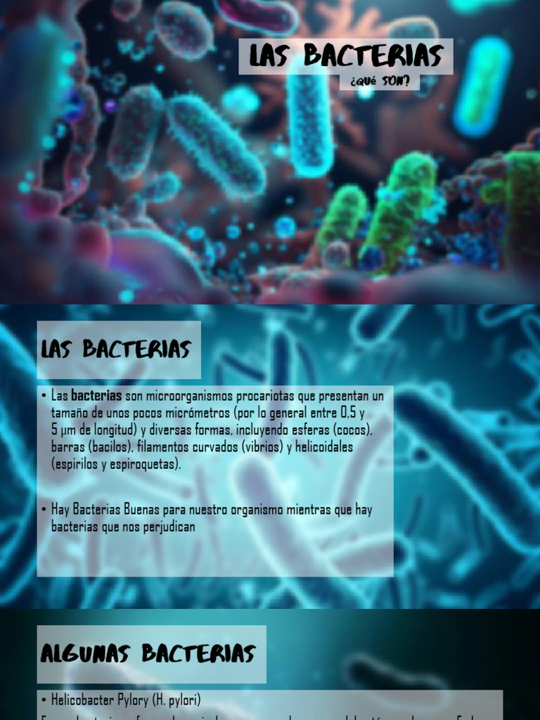 Las Bacterias | PDF | Las bacterias | Infección
