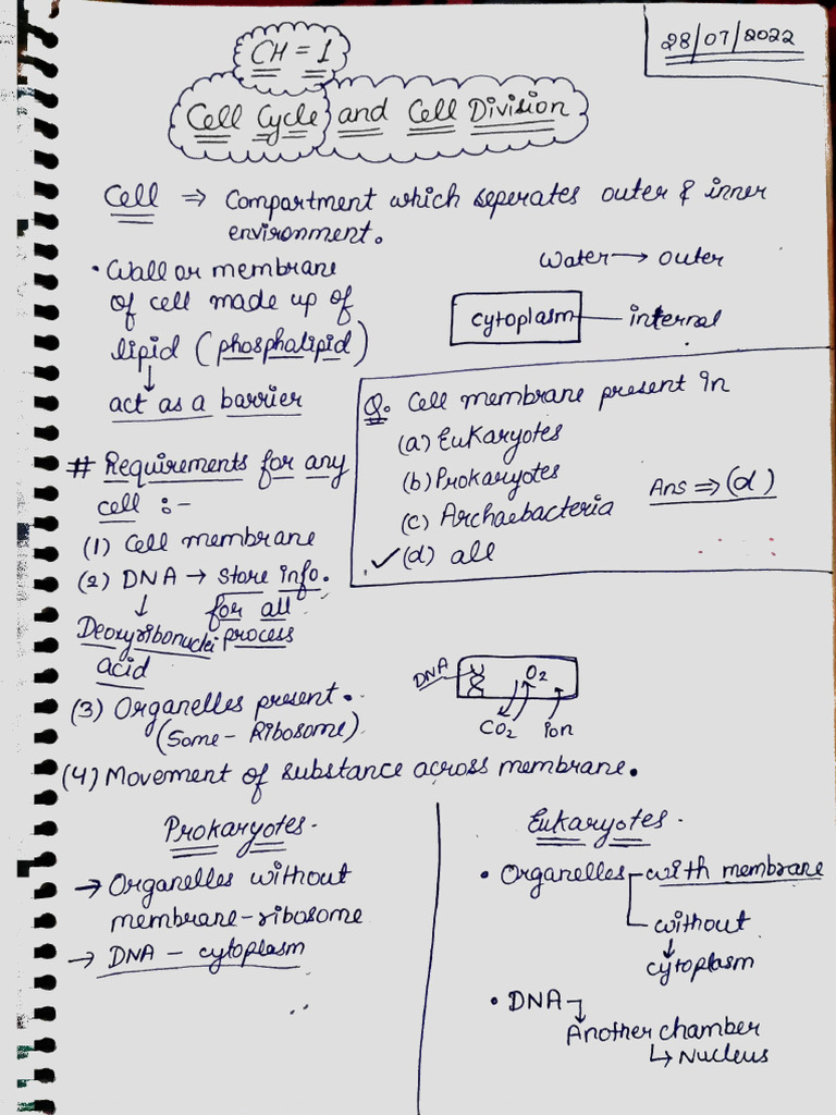 CELL CYCLE AND DIVISION Special Notes | PDF