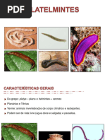 Protocolo Diagnóstico de Desnutrição Hospitalar Utilizando A GLIM | PDF ...