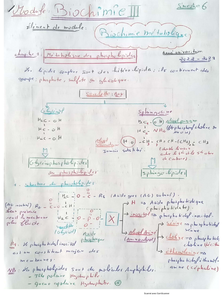 Résumé Biochimie Métabolique S6 | PDF