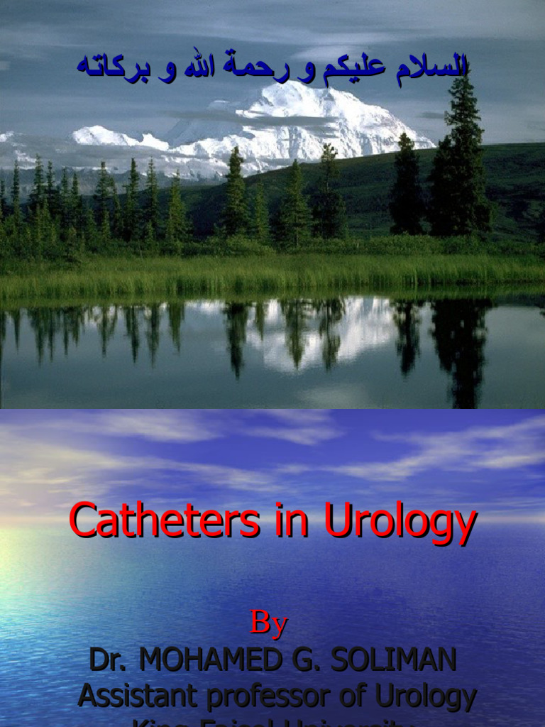 Catheter Care | PDF | Urinary Tract Infection | Catheter