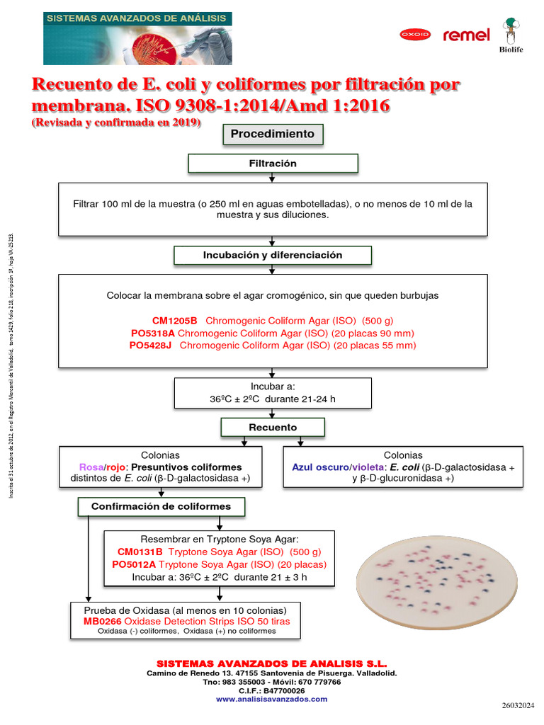 Análisis de E. coli y Coliformes | PDF | Microorganismo | Las bacterias