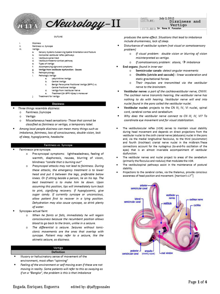 Dizziness and Vertigo Trans! | PDF | Vertigo | Vestibular System