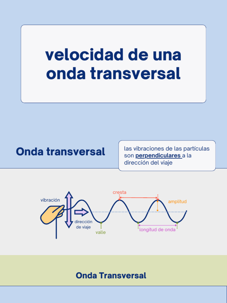 Velocidad de Ondas Transversales en Cuerdas | PDF | Arte | Ciencia y ...