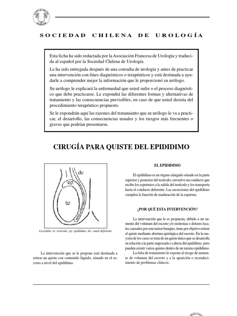 03-Quiste Epididimo | PDF | Cirugía | Urología