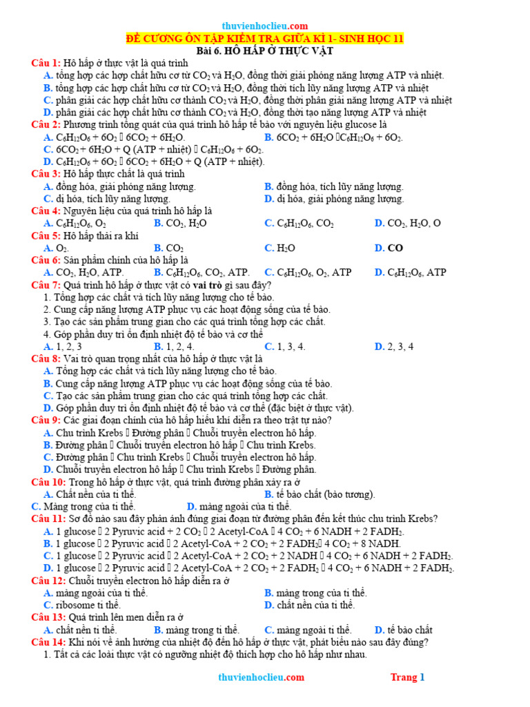 De Cuong On Tap Sinh 11 Giua HK1 Hay | PDF