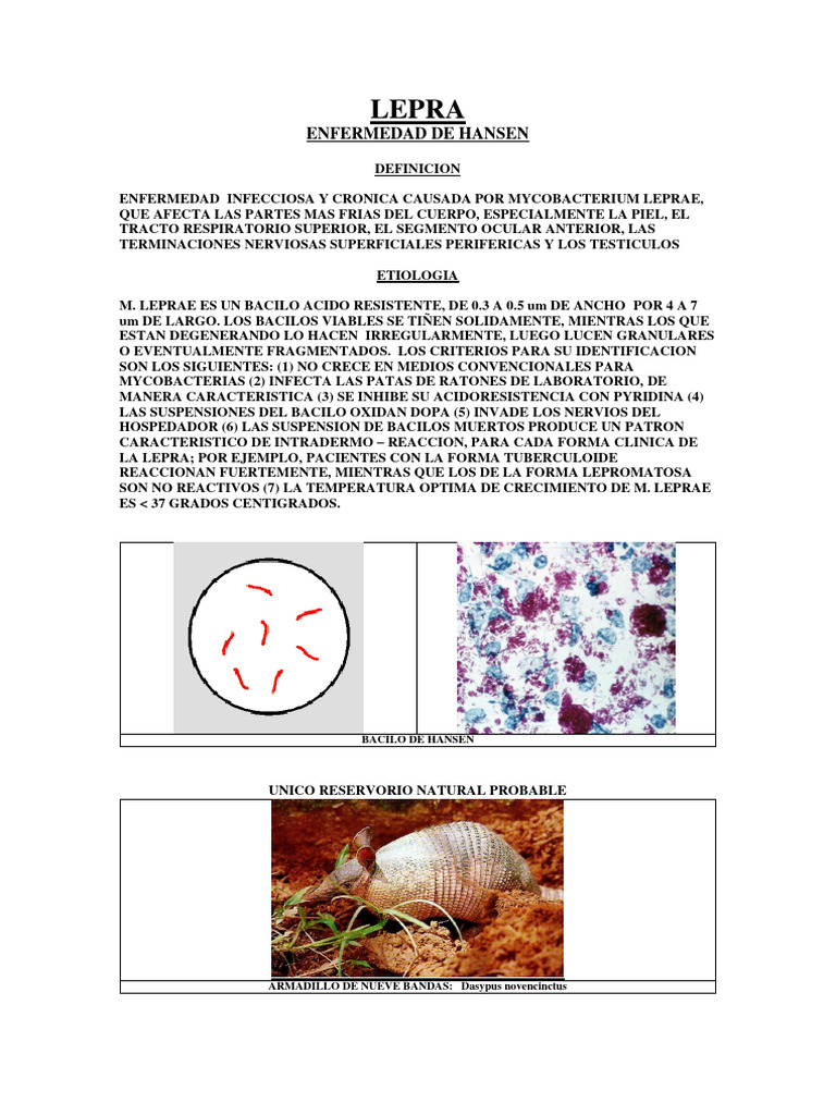 Lepra: Definición, Transmisión y Clasificación | PDF | Lepra | Mano