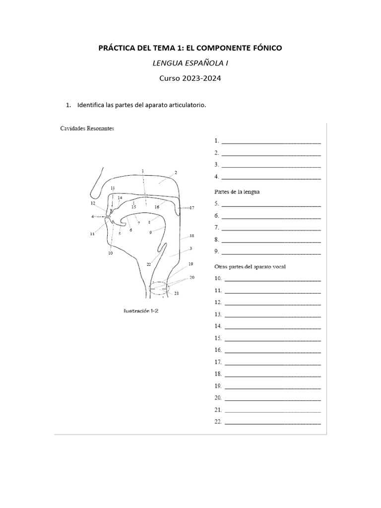 Practica Lengua | PDF | Fonema | Fonología