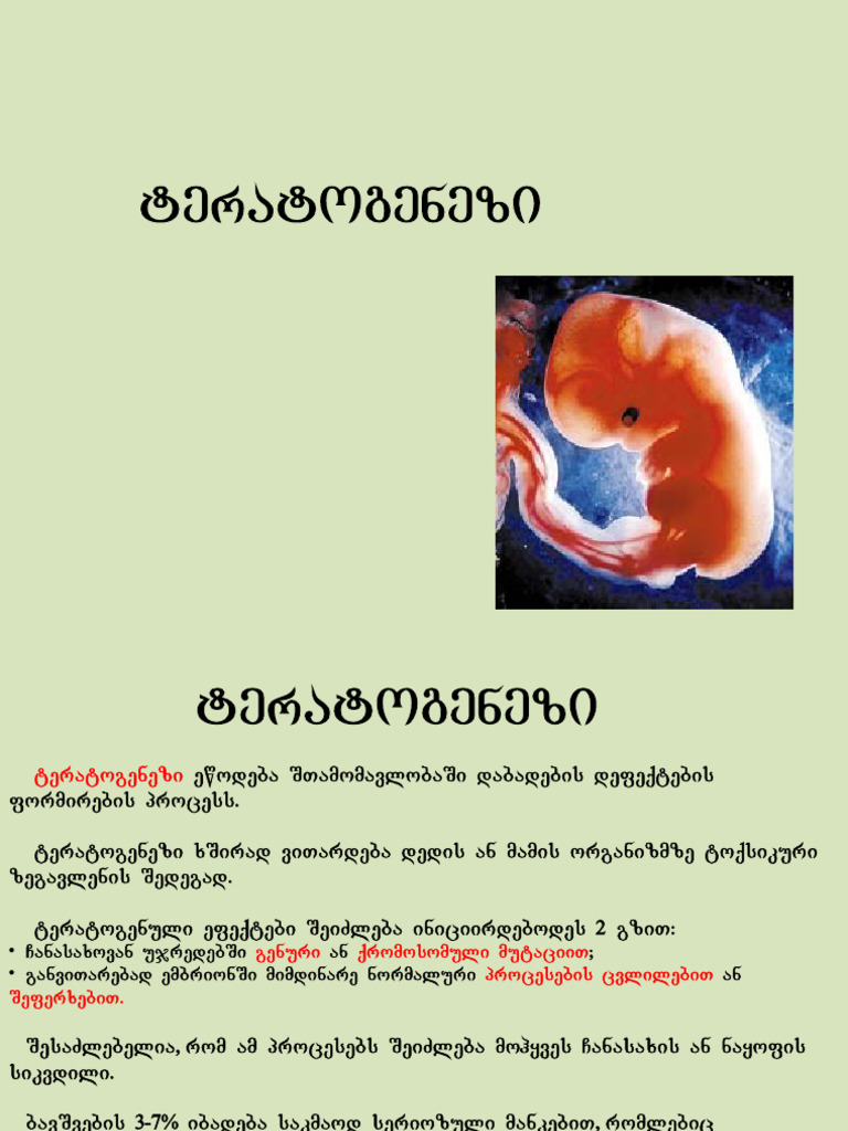Terato Slide 5 | PDF